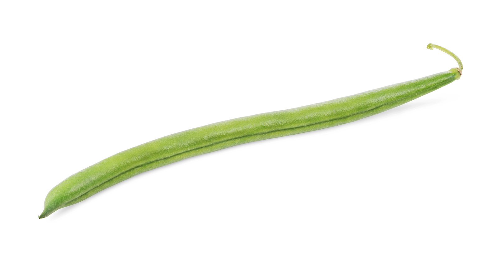 One Green Bean – BibleJournal.net