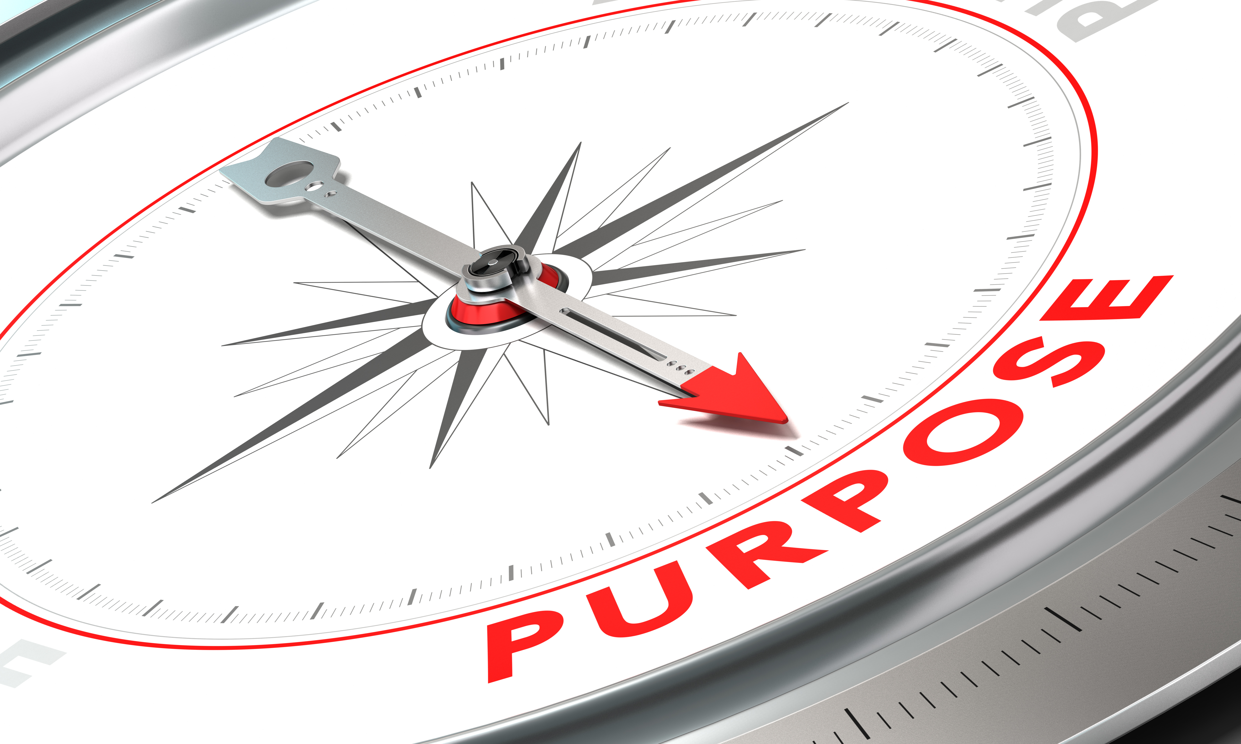Constancy of Purpose – BibleJournal.net