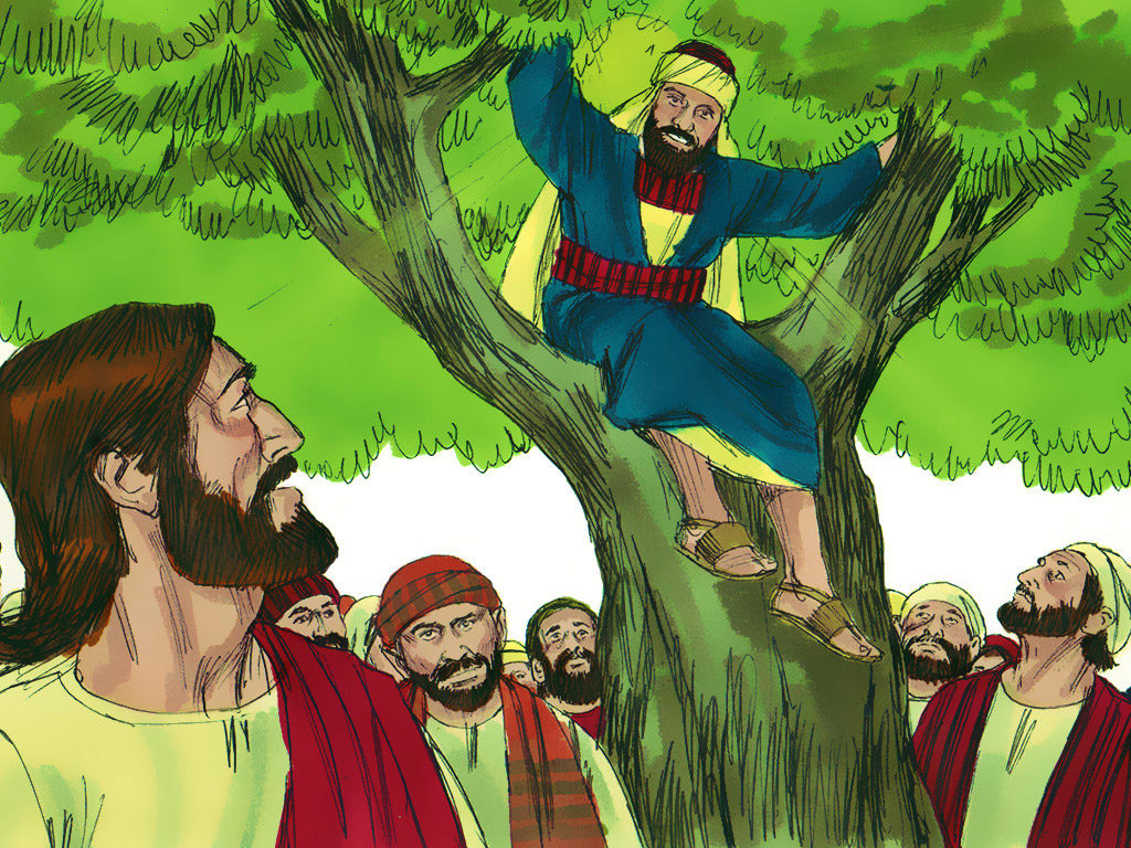 Zacchaeus – BibleJournal.net