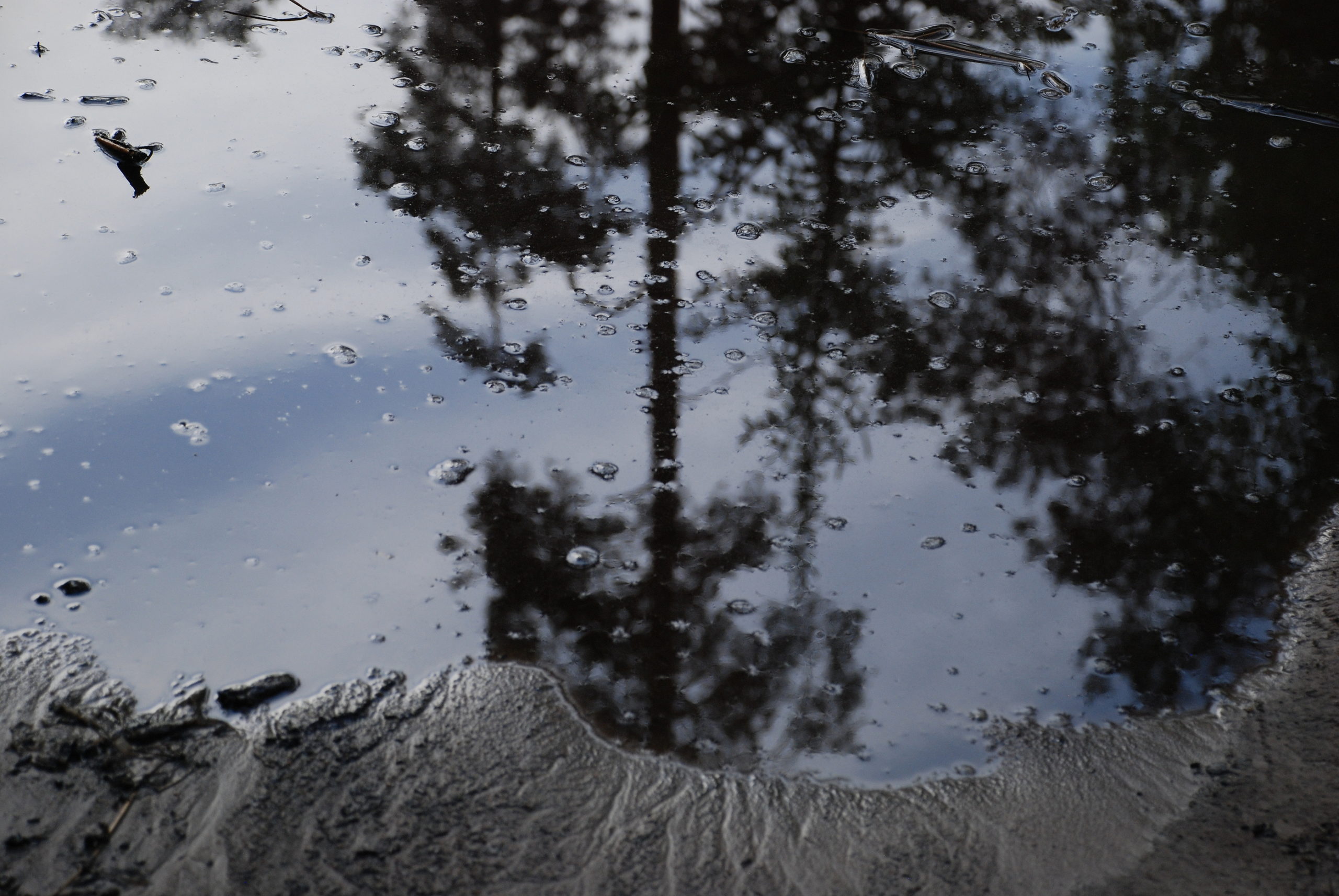 Fornicators! – BibleJournal.net